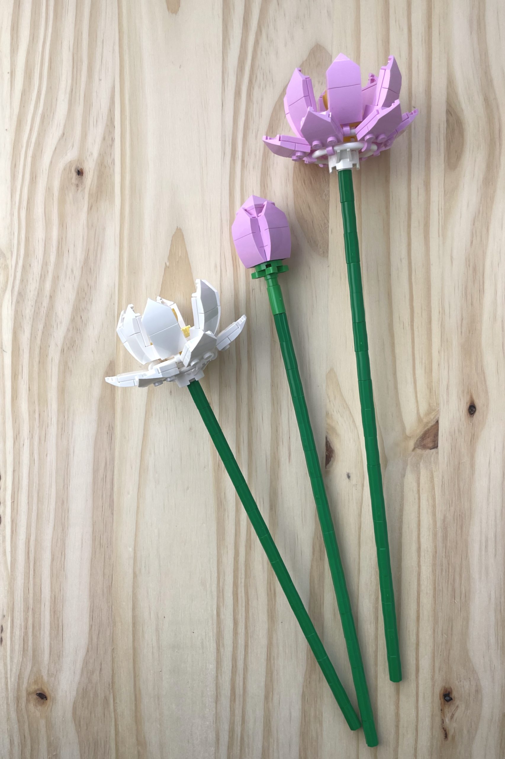 LEGO set: Lotus Flowers (40647) – curiofloris